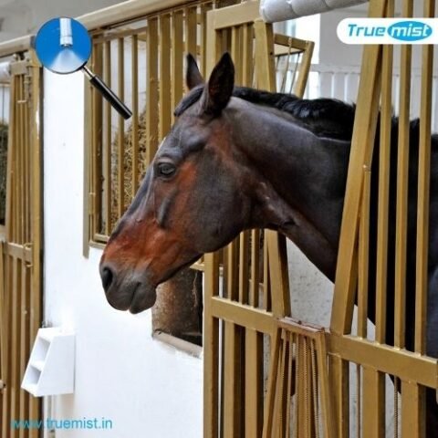 Livestock mist cooling system | TrueMIST Misting and Fogging Systems